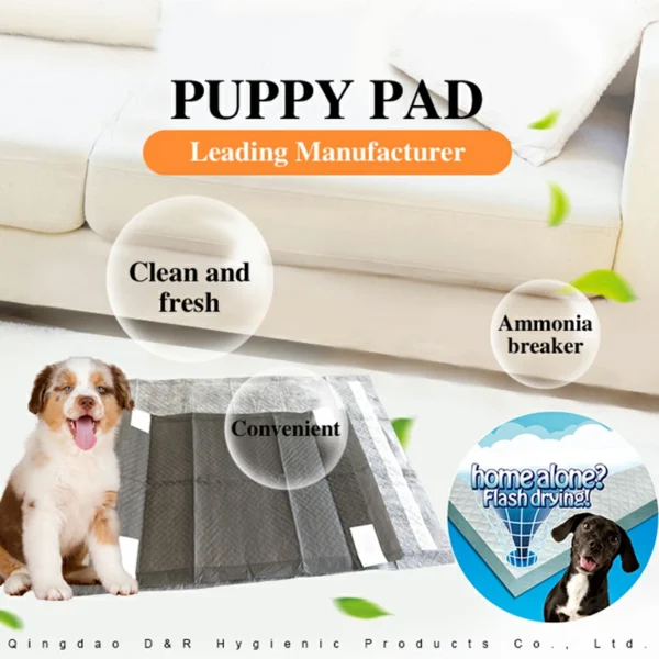 Adhesive Sticker Pad | Pet Care Product manufactuer